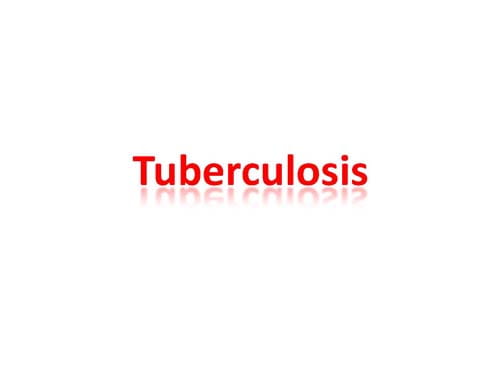 Basics Of Tuberculosis
