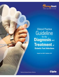 Clinical Practice Guideline for the Diagnosis and Treatment of Diabetic ...