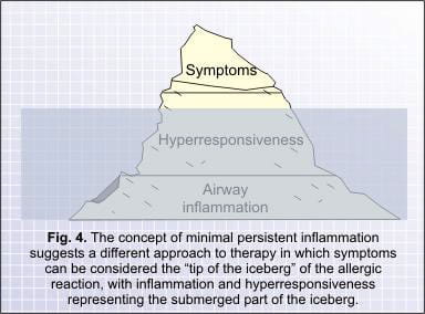 Minimal Persistent Inflammation in Allergic Rhinitis