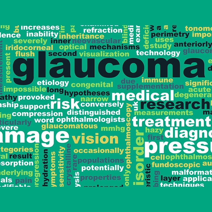 Understanding Ocular Blood Flow in Glaucoma Progression