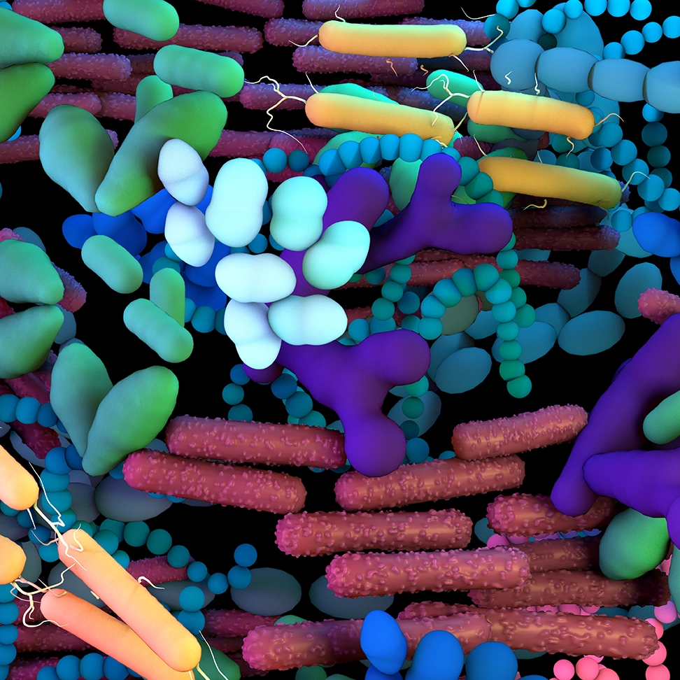 In Vitro Efficacy of Cefepime-Enmetazobactam Against Gram-negative Isolates